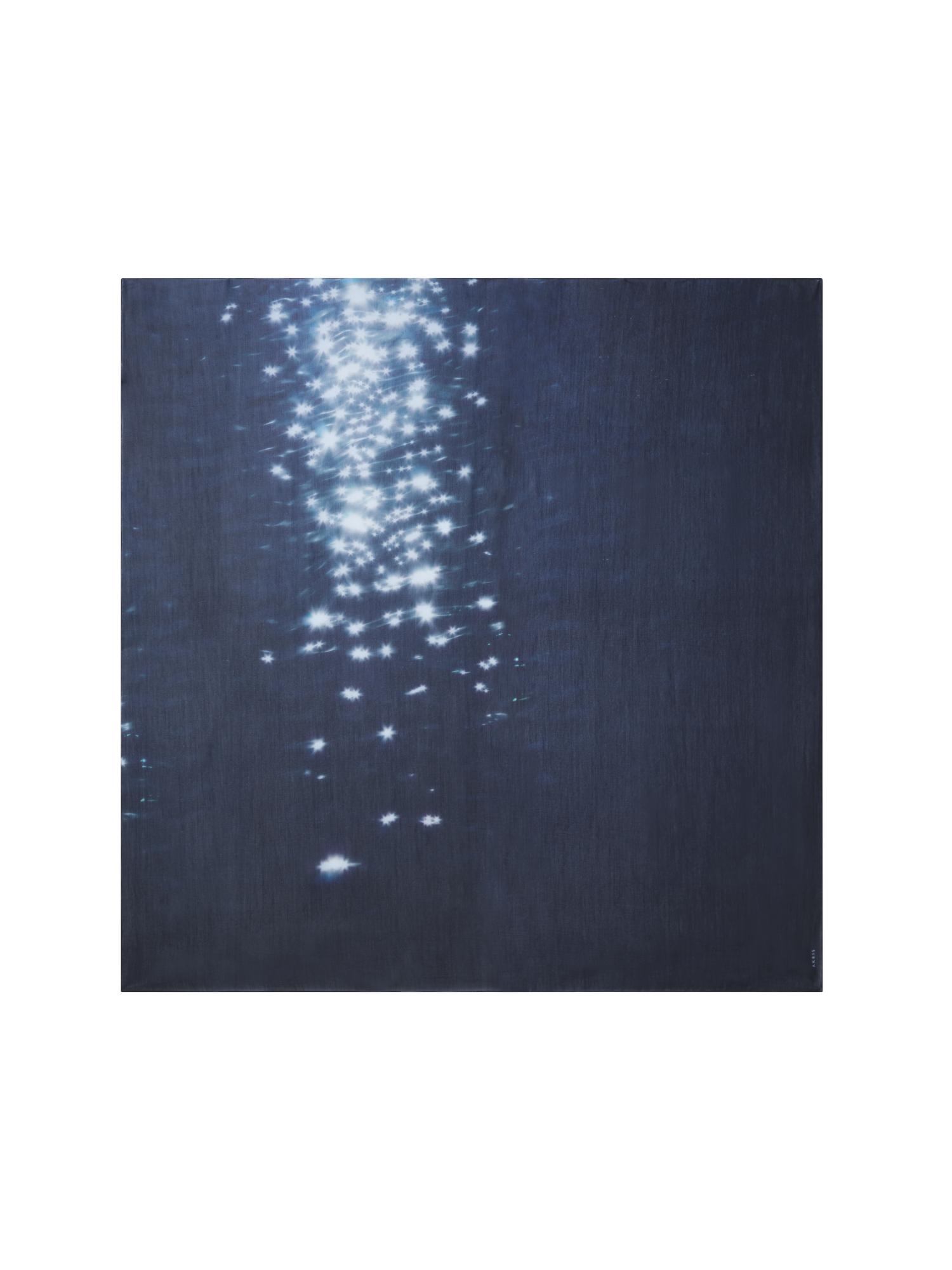 Cotton Silk Reflecting Sun on Water Print Scarf – Akris Inc.